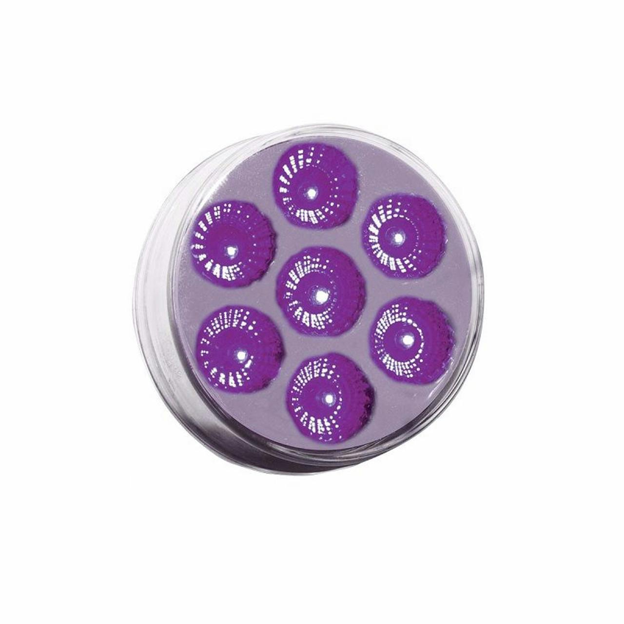 2" Round Dual Revolution Amber & Purple LED Marker Light - Raney's ...