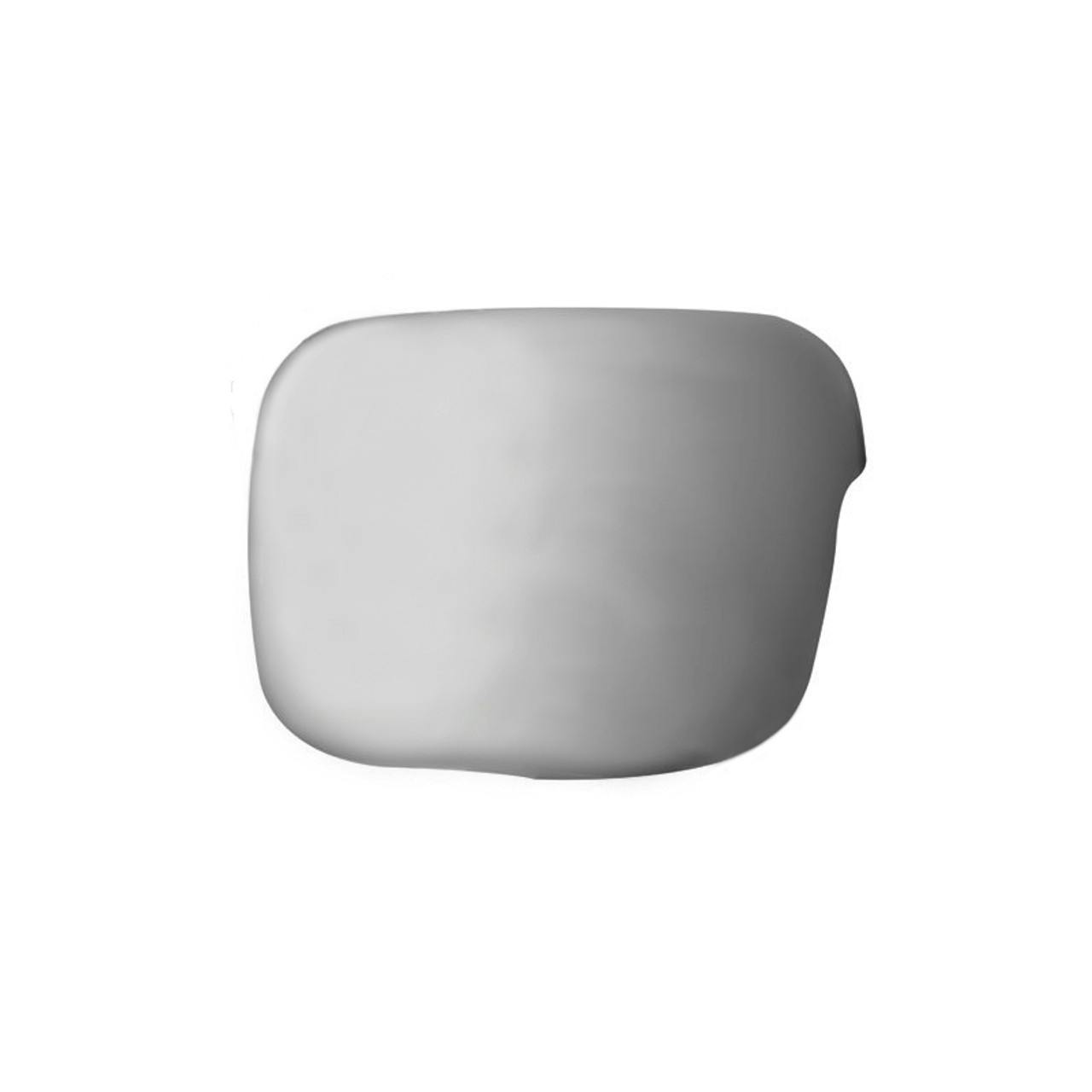 Freightliner Cascadia 2018+ Chrome Hood Mirror Cover - Raney's Truck Parts