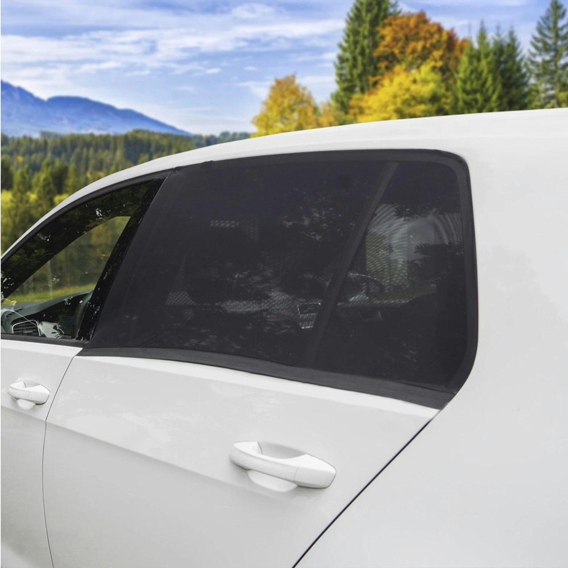 Truck Window Screen #2 Full Size - Raney's Truck Parts