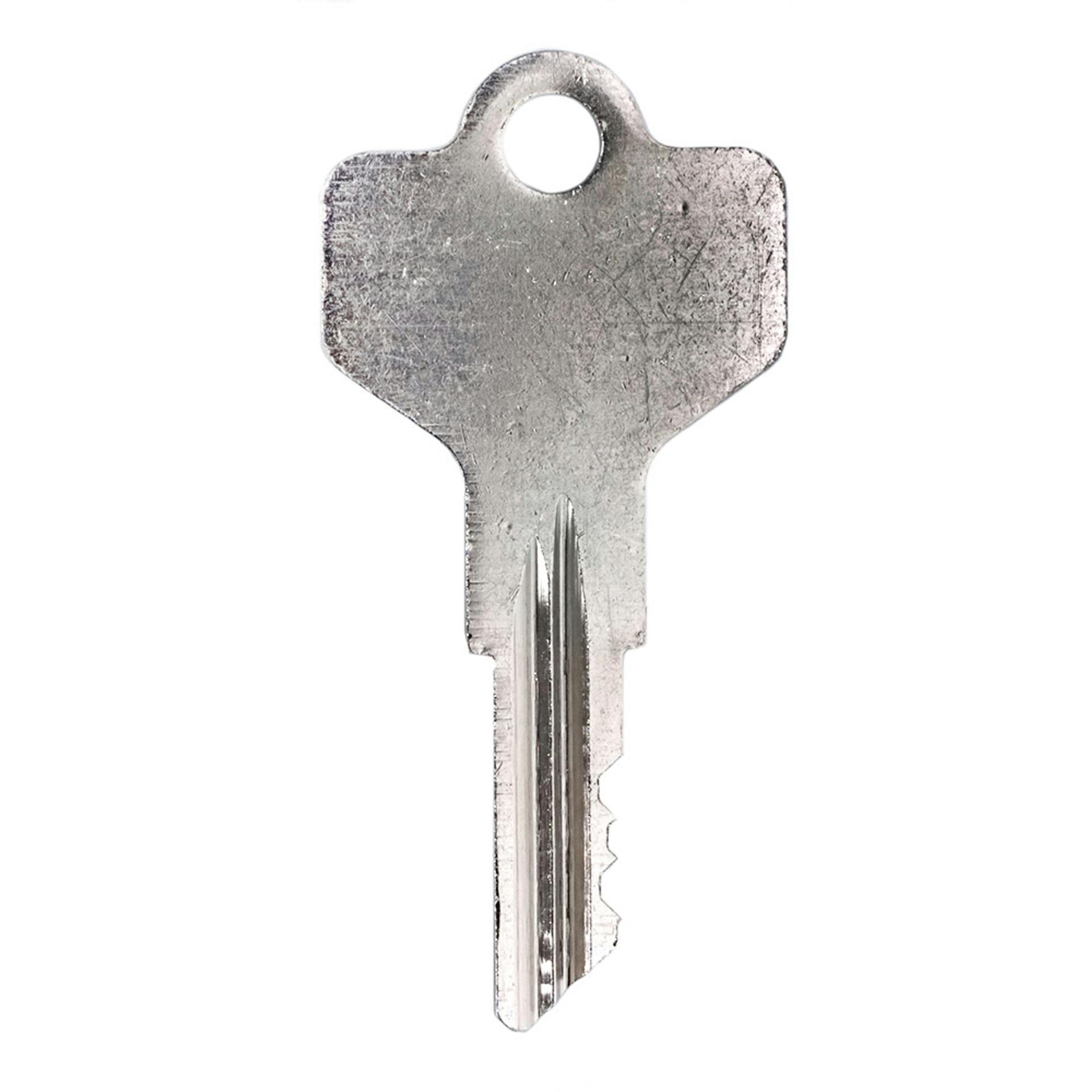 Peterbilt Replacement Truck Key C250-C483 G101-G598 P0001-P1500 - Raney ...