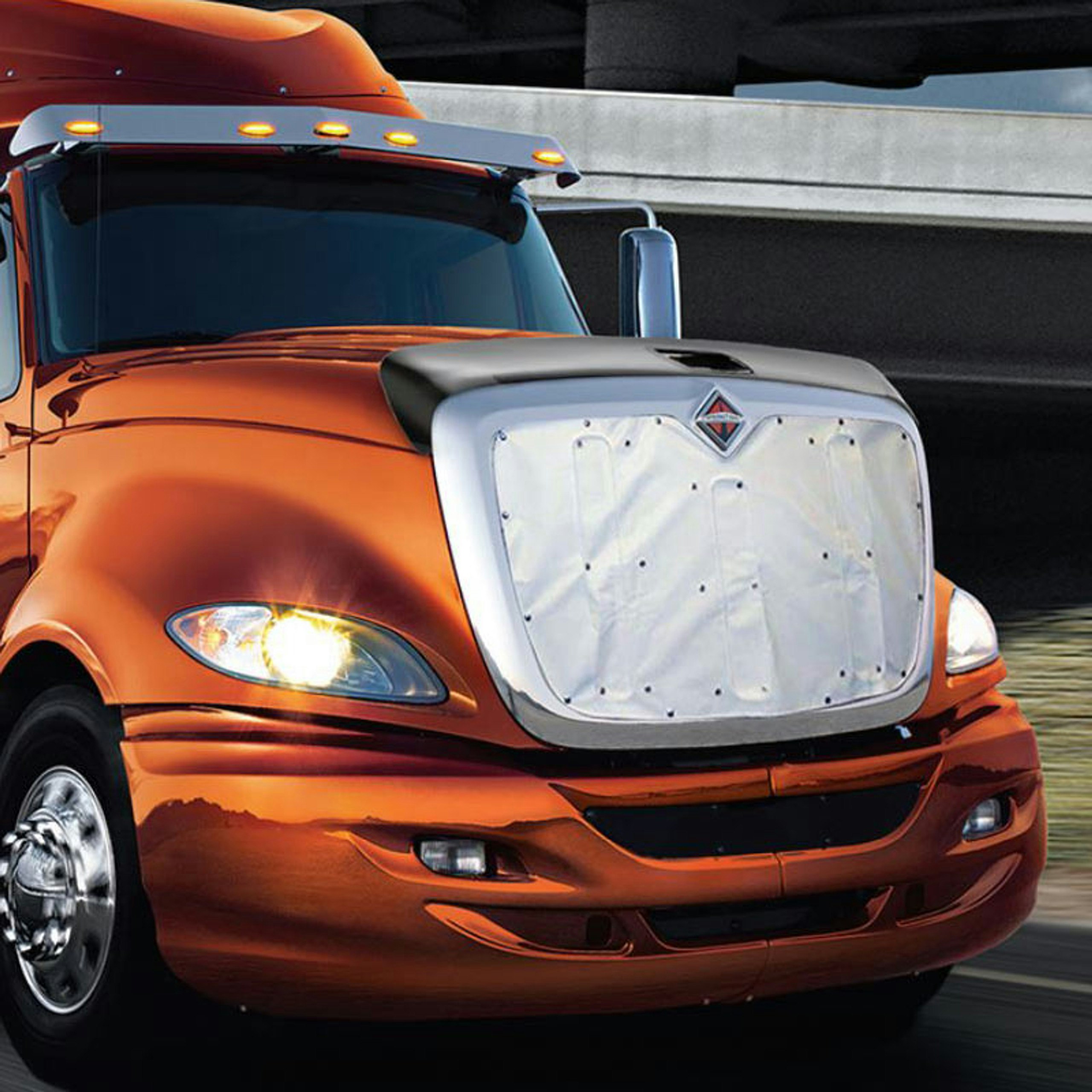 International Winter Fronts | Raney's Truck Parts