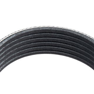 Kenworth Peterbilt Serpentine Belt 1120858 D84-1000-6122180