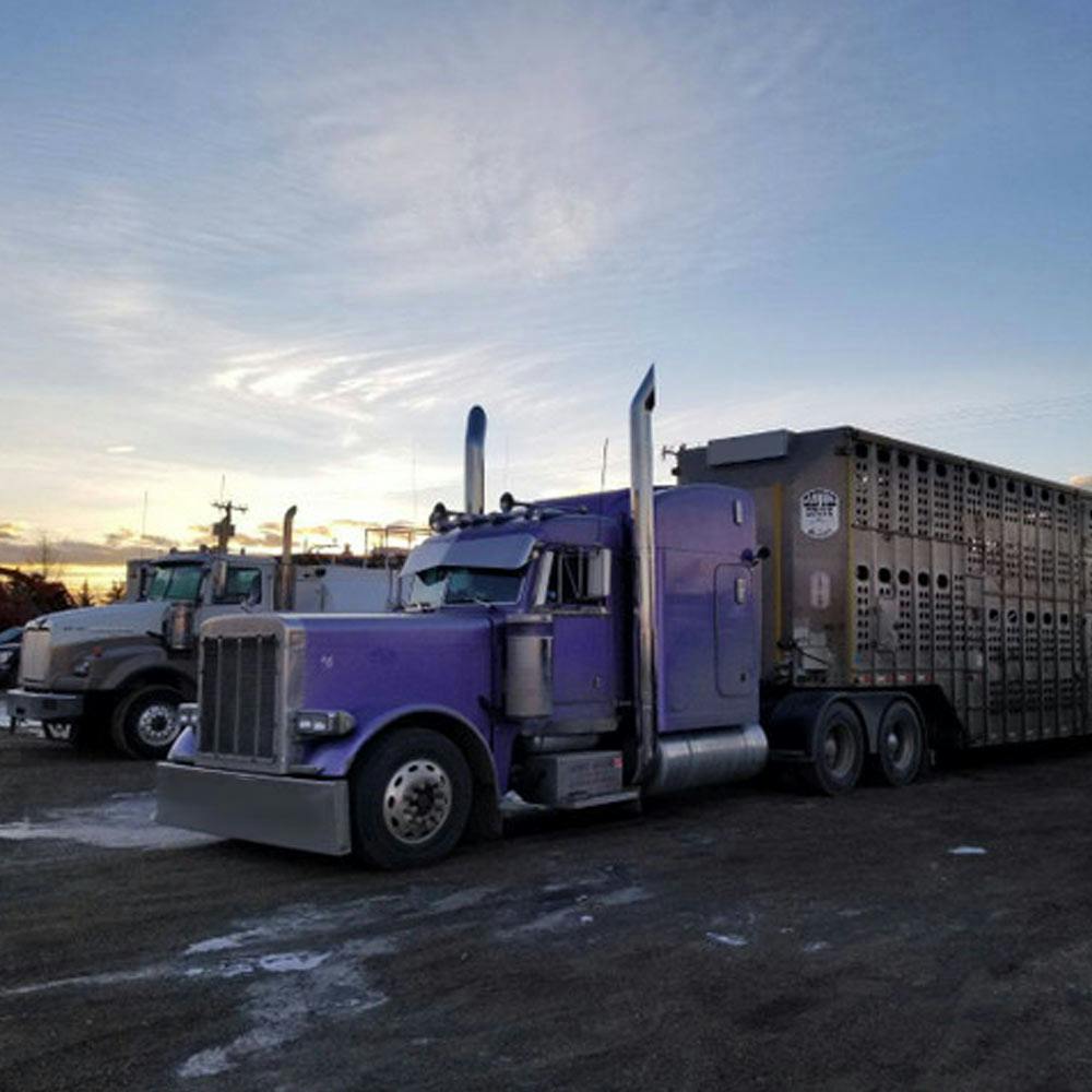 Truck Exhaust Top Stacks